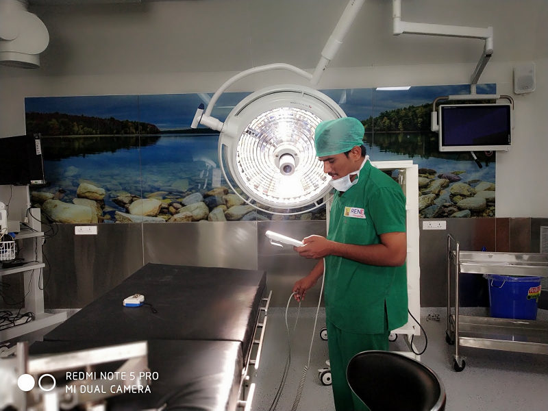 Wellness Electromedical Systems